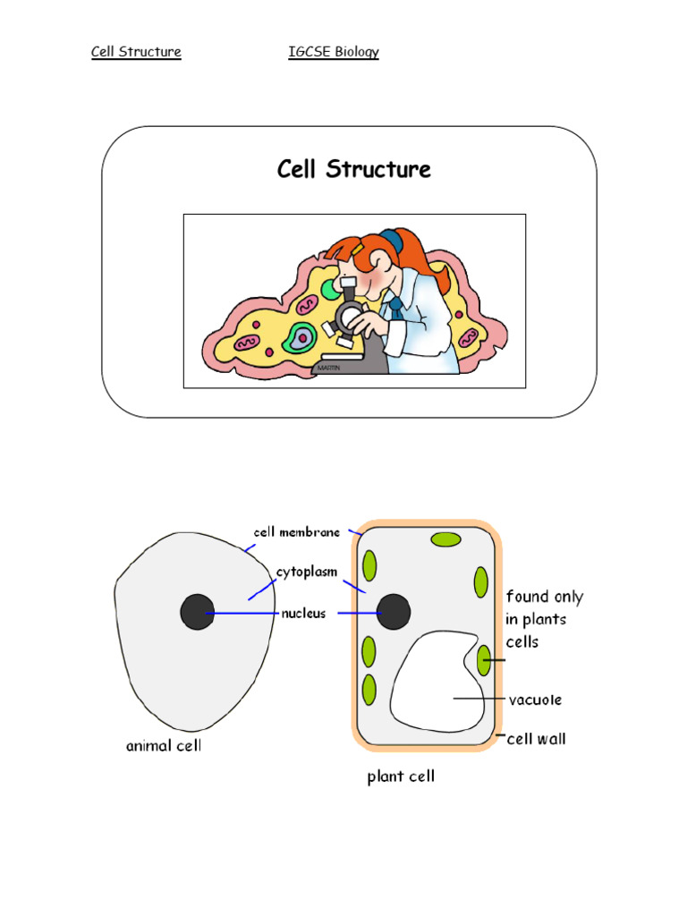 IGCSE Biology: Cell Structure Overview | PDF | Cell (Biology ...