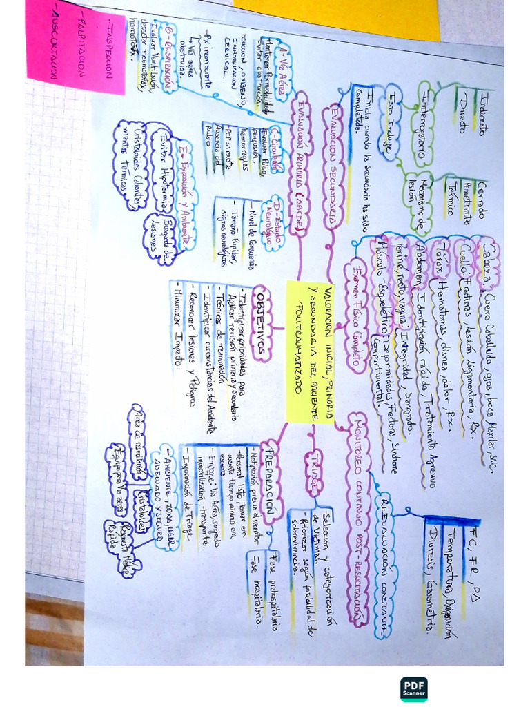 Mapas Mentales | PDF