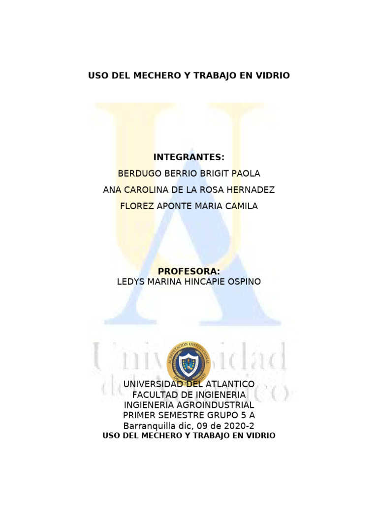 Berdugo-De La Rosa-Florez-Mechero-G5a-20-2 | PDF