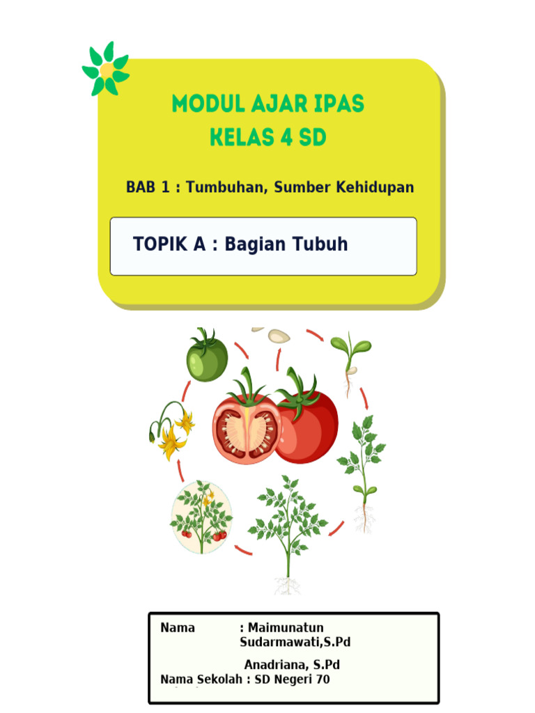 Modul Ajar Ipas Mega | PDF