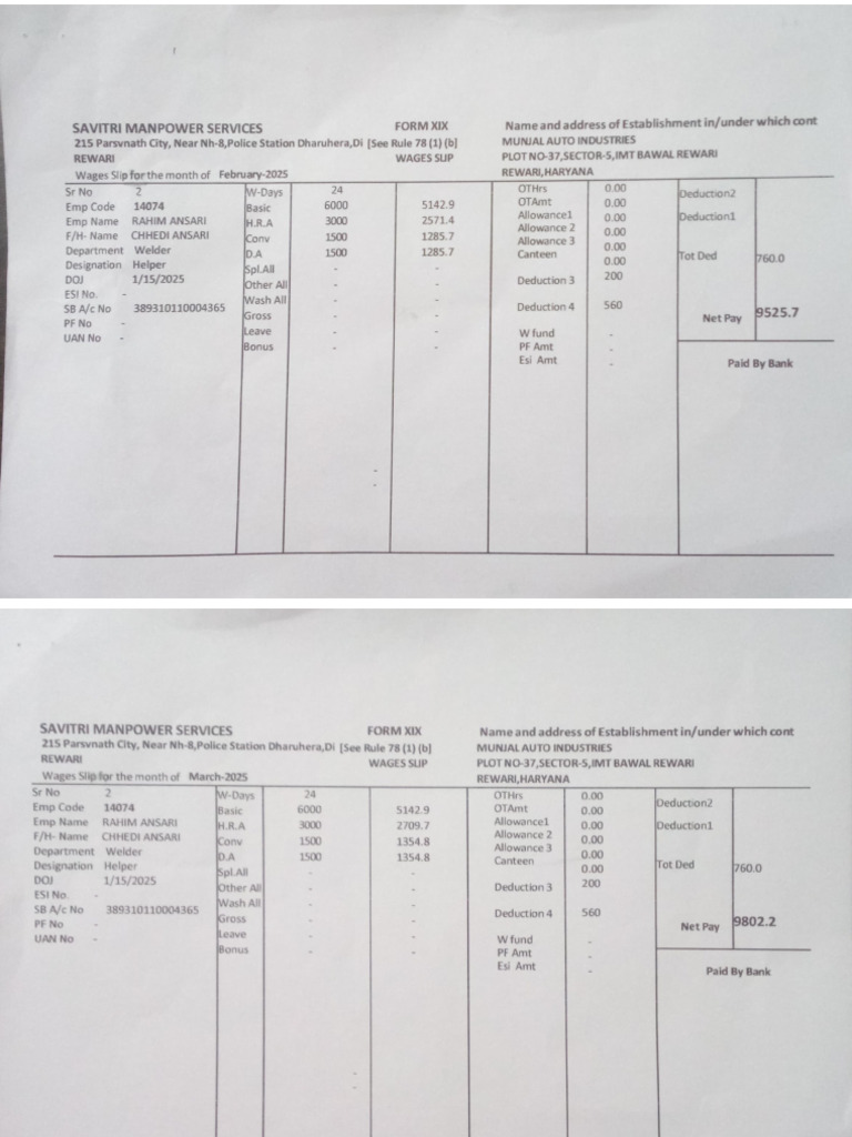 Rahim Ansari Salary Slip | PDF
