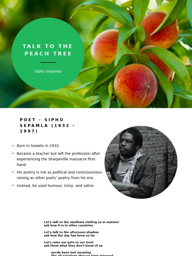 Talk To The Peach Tree | PDF | Poetry