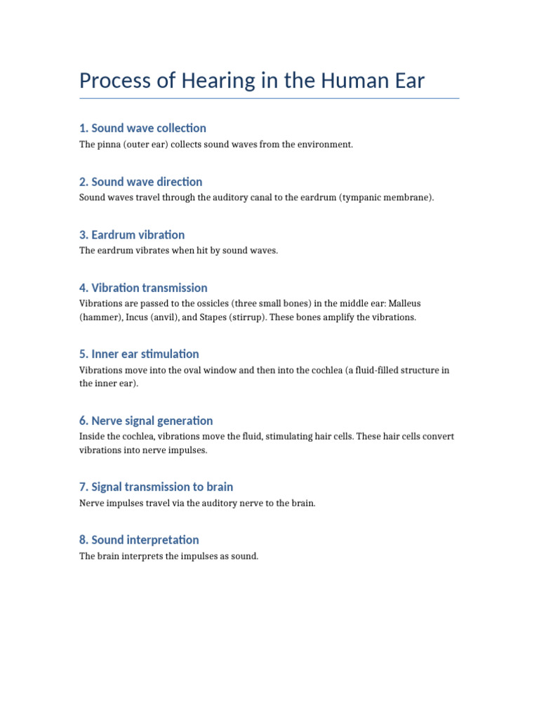 Process of Hearing in The Human Ear | PDF