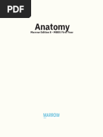 MBBS 1st Year Anatomy Short Notes | PDF
