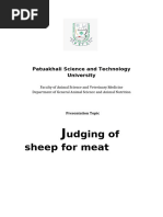 Livestock Judging Techniques Explained | PDF | Livestock | Domesticated ...