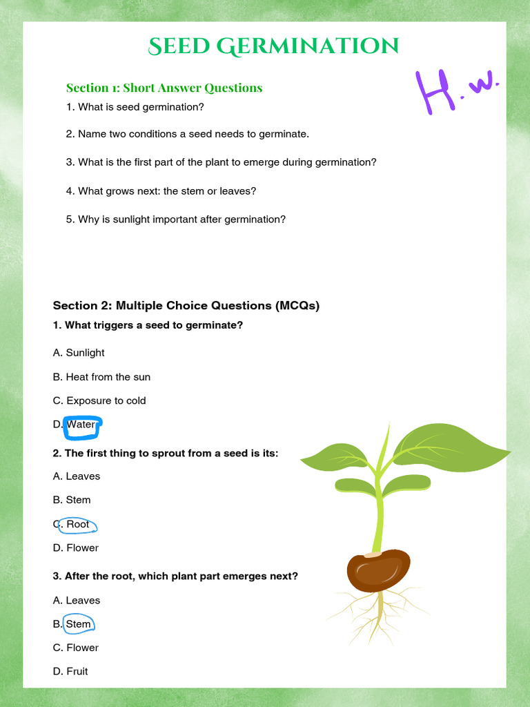 Seed Germination Worksheet PDF | PDF