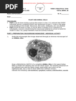 SEPUP Modeling Cells | PDF | Cell (Biology) | Biology
