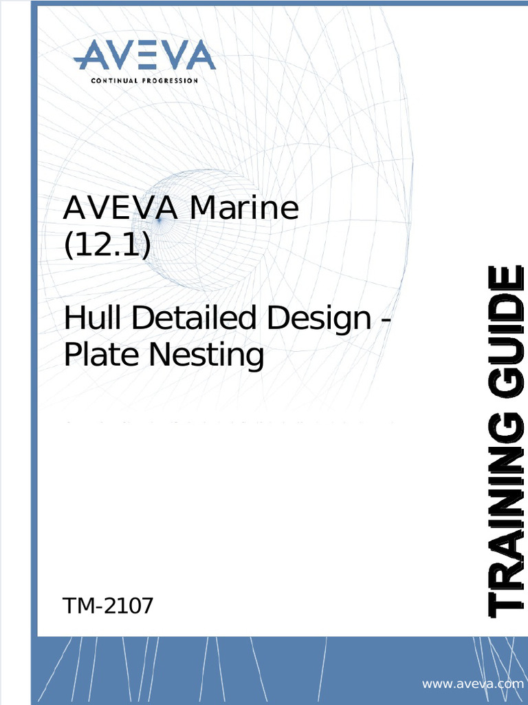 TM 2107 Aveva Marine 121 Hull Detailed Design Plate Nesting Rev 41 | PDF | Parameter (Computer ...
