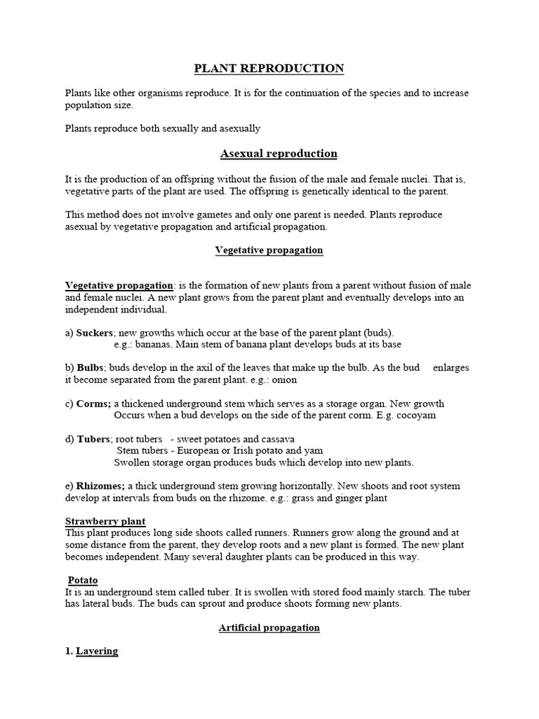Reproduction in Plants - Bgcse | PDF | Flowers | Seed