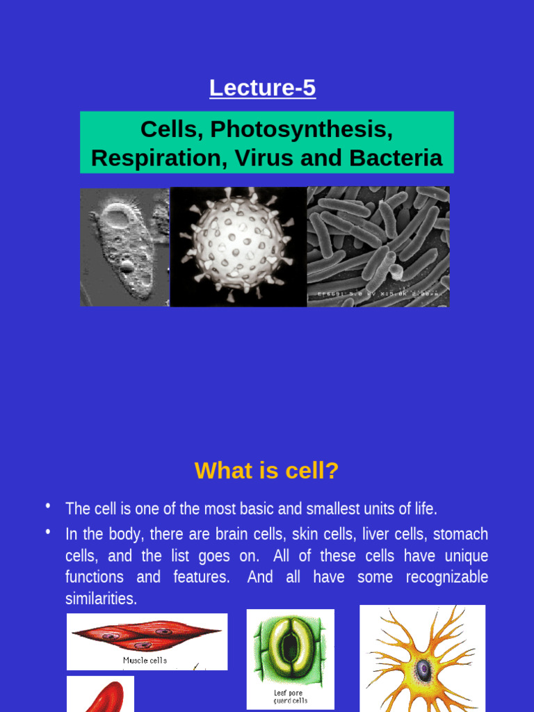 Cells, Virus & Bacteria - Feb 2025 | PDF | Cell (Biology) | Endocrine ...