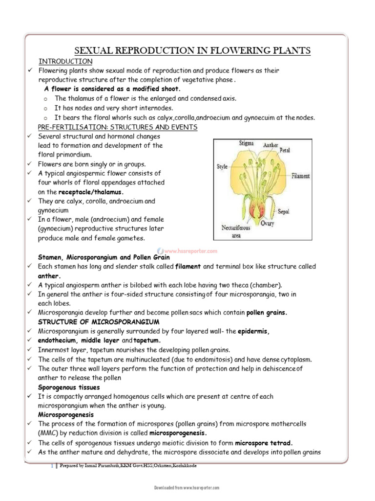 Sexual Reproduction in Angiosperms | PDF | Flowers | Seed
