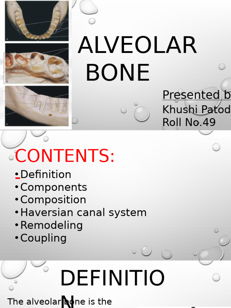 Alveolar Bone: Structure and Remodeling | PDF