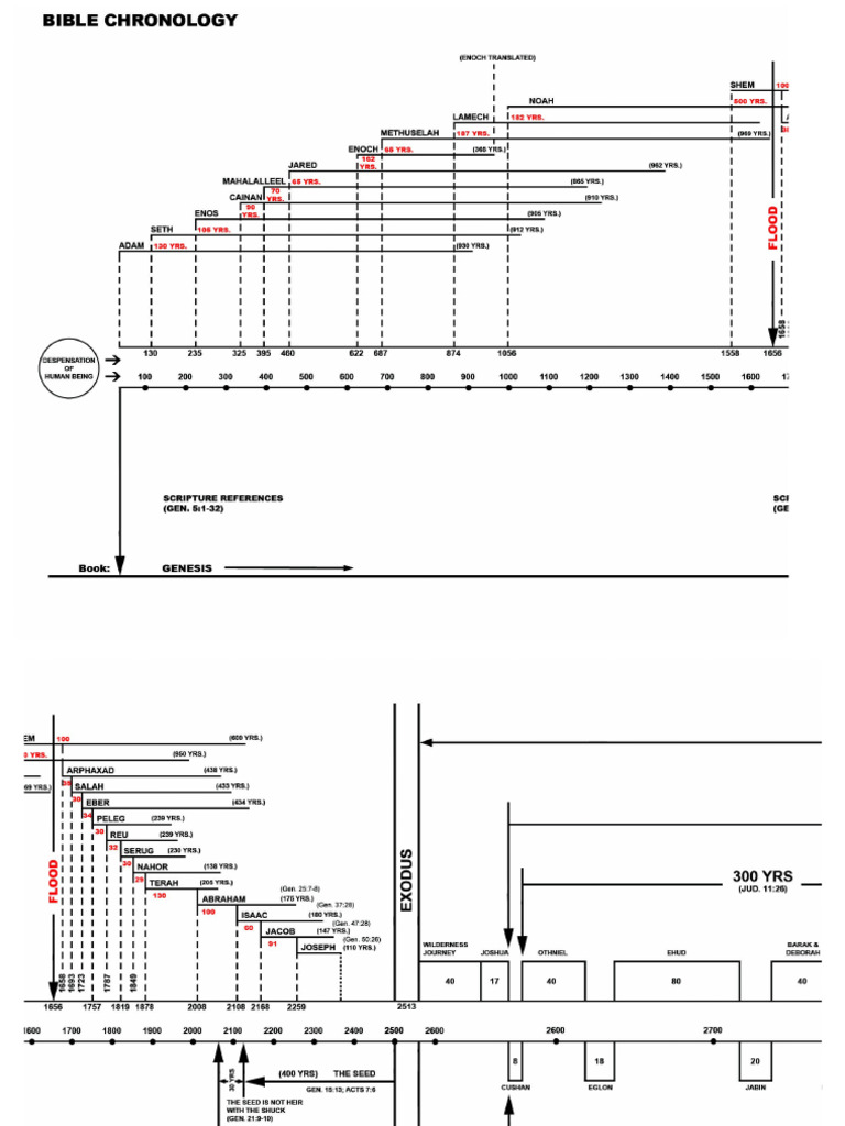 Bible Chronology (Print) | PDF