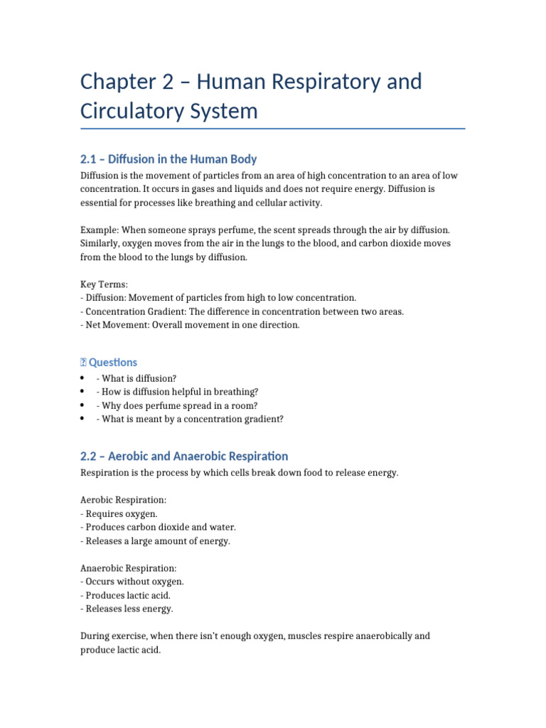 Full Chapter 2 Human Respiratory System | PDF | Breathing | Respiratory System