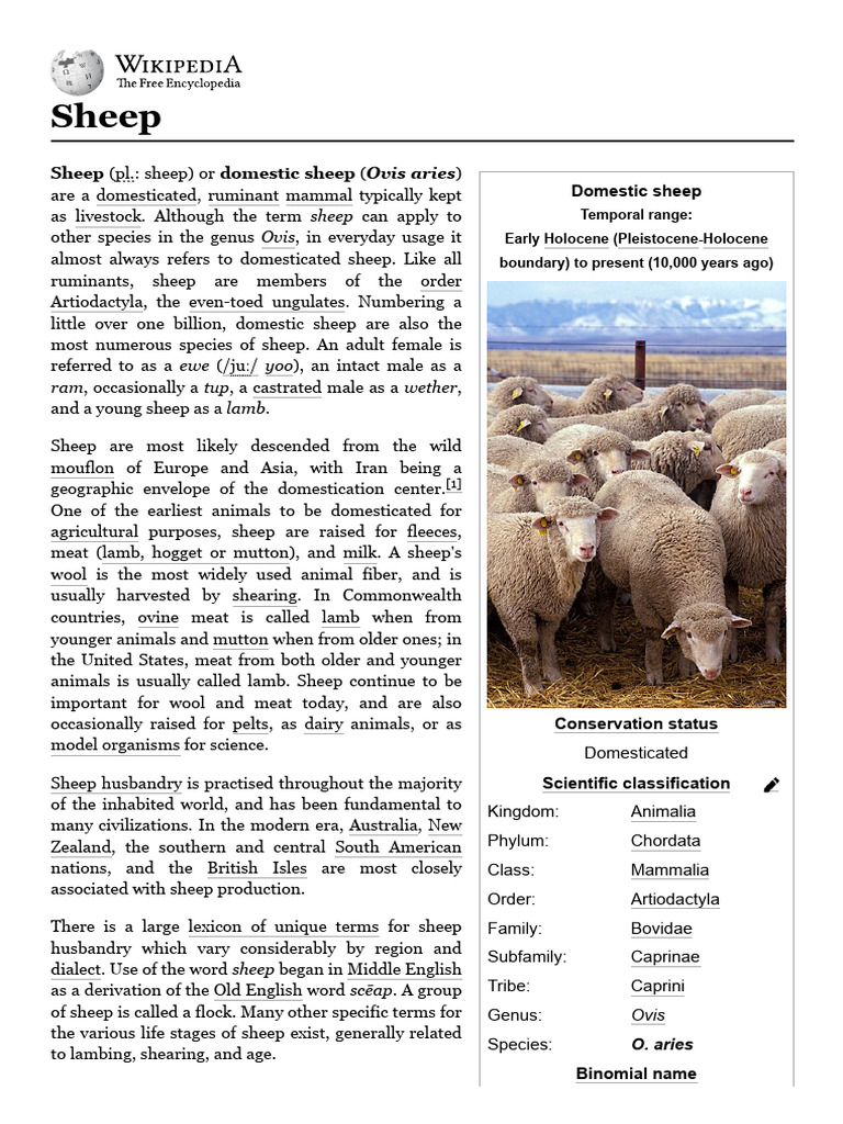Sheep | PDF | Sheep | Tooth