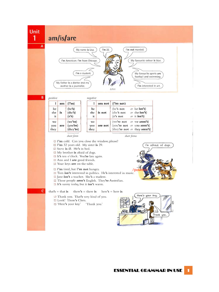 Essential Grammar in Use (Units 1-6) | PDF