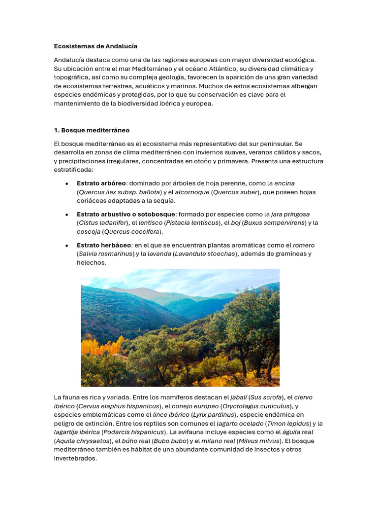 Lectura Ecosistemas Andaluces | PDF | mar Mediterráneo