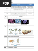 Grade 7 Graphs And Pie Charts Pdf