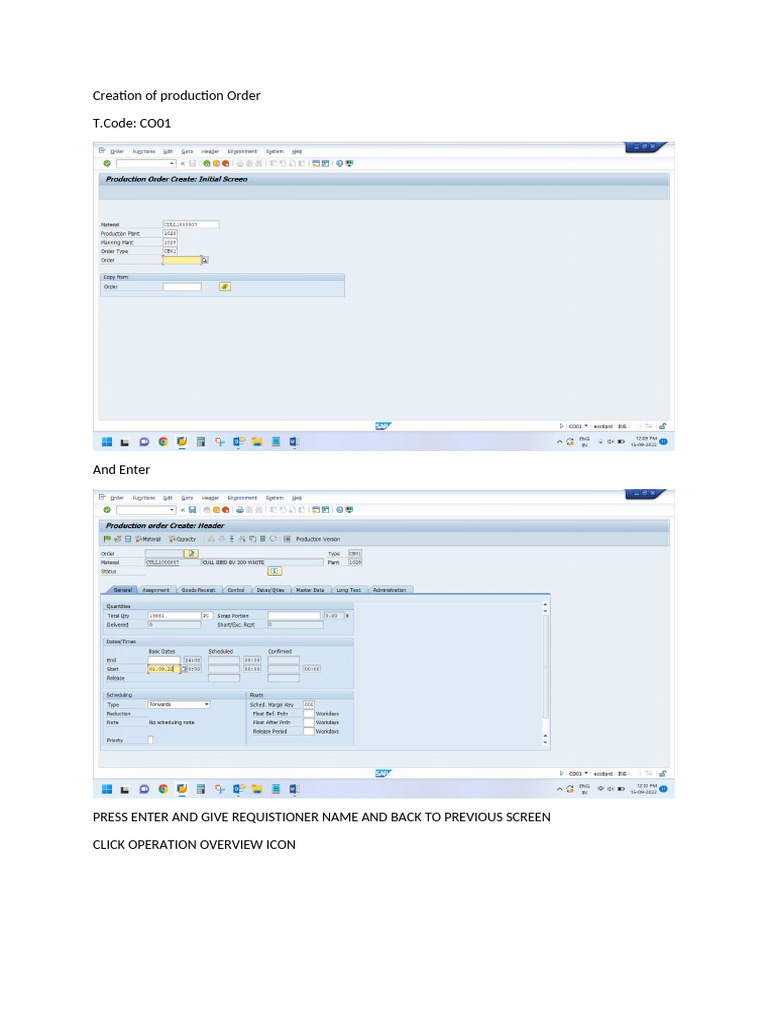 Production Order Creation Guide | PDF