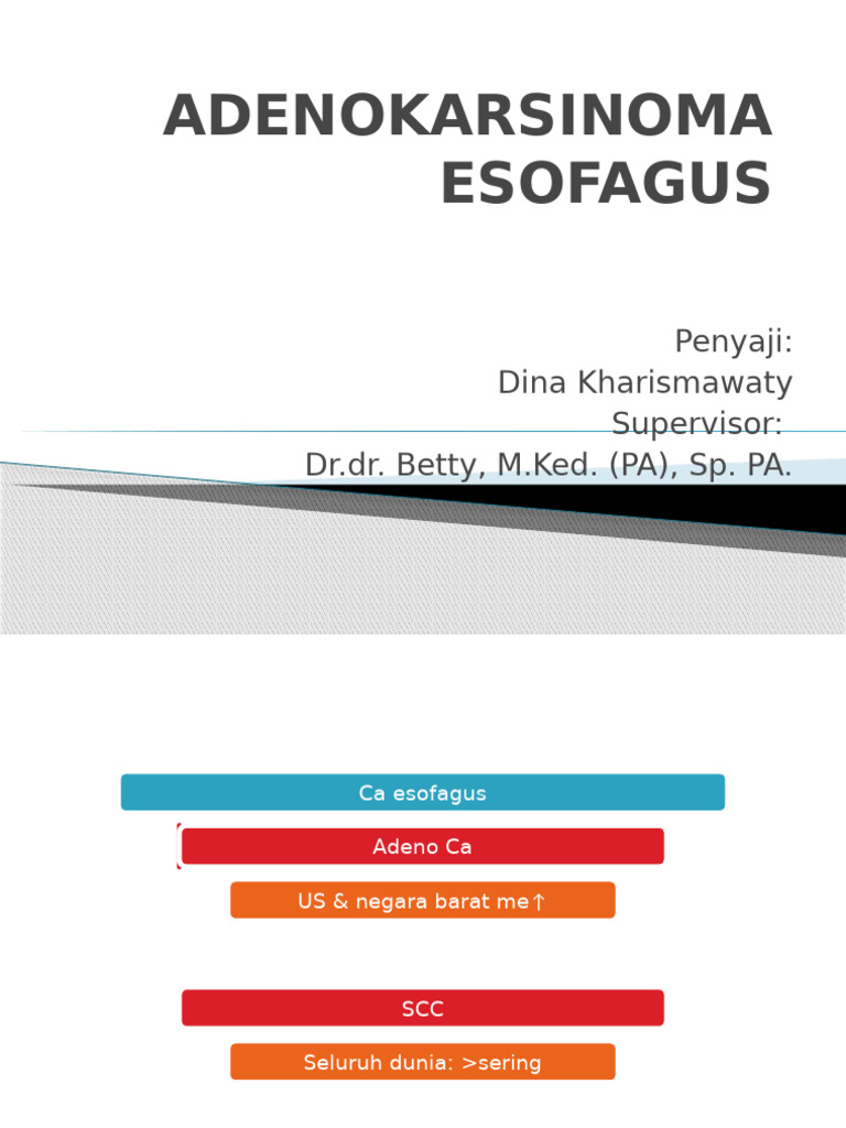 Adenokarsinoma Esofagus | PDF