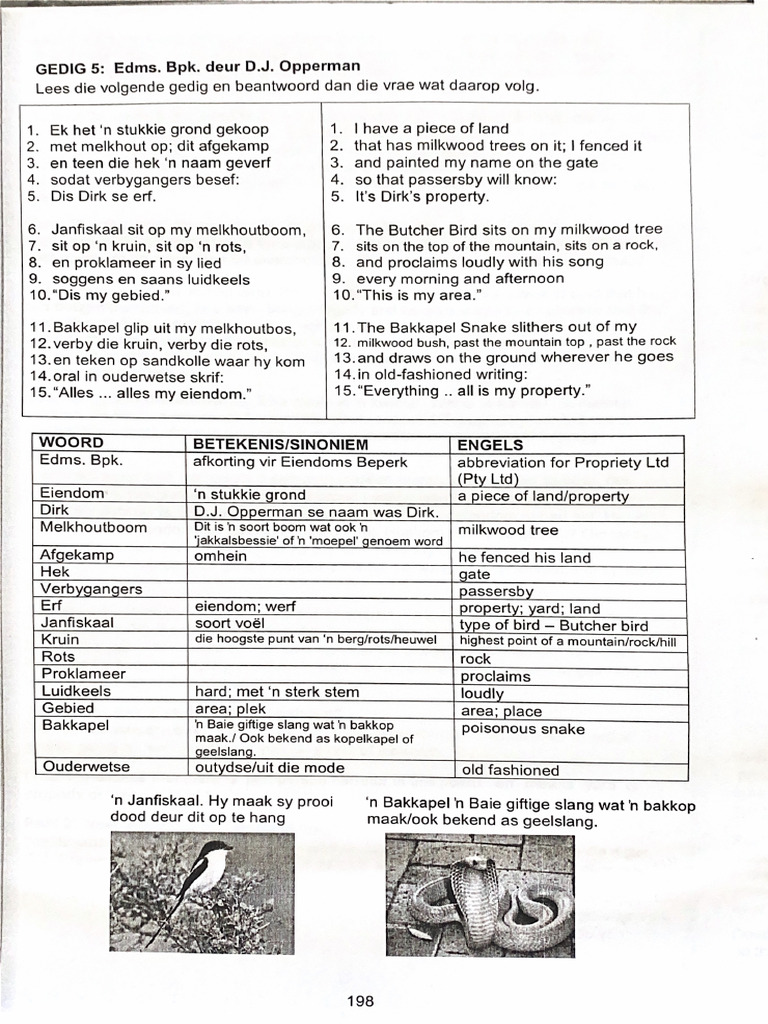 Afrikaans Literature (Booklet 12) | PDF