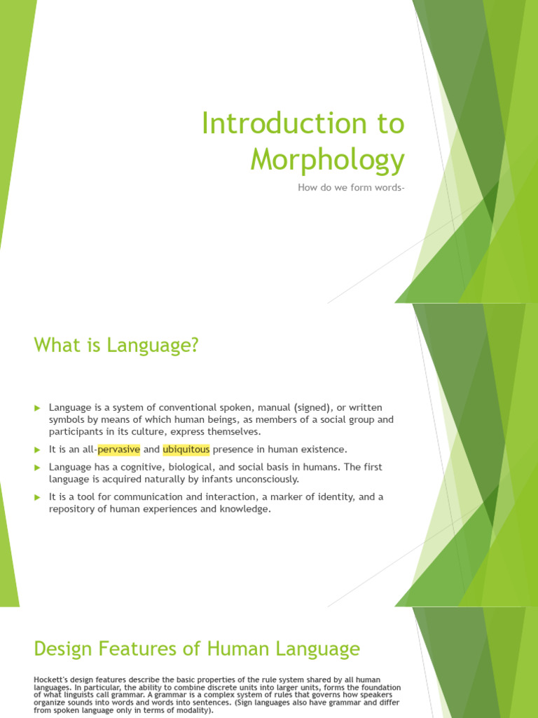 Introduction To Morphology | PDF | Linguistics | Speech