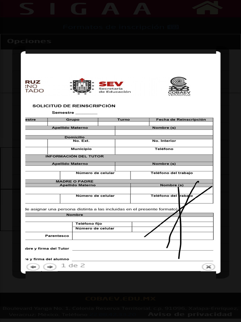 Sigaa Cobaev | PDF | Telefonía móvil | Informática