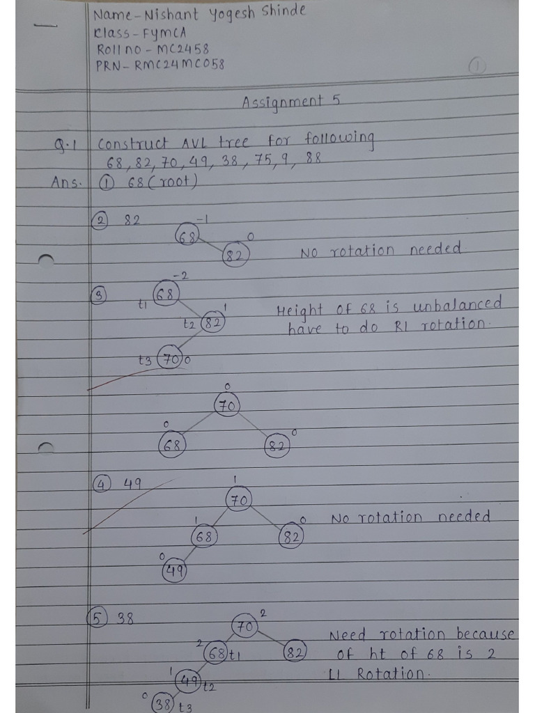 CPP Assignment 5 | PDF