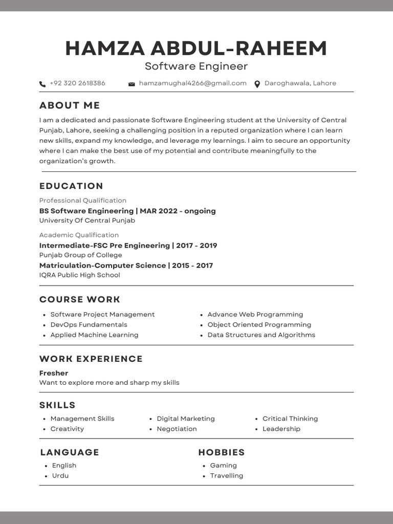 Hamza Resume | PDF