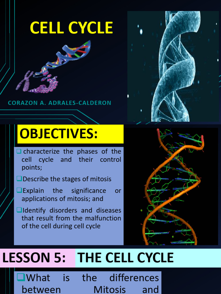 Cell Cycle and Cell Division | PDF | Meiosis | Mitosis