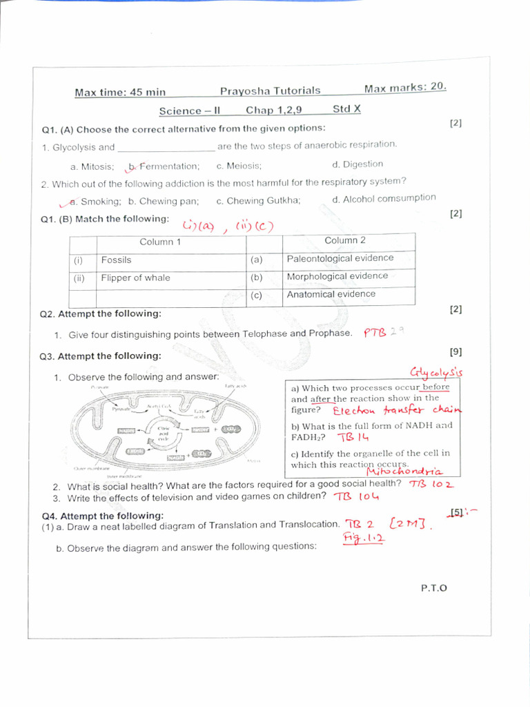 Sci B Chap 1,2,9 Mega Test Ans Key | PDF