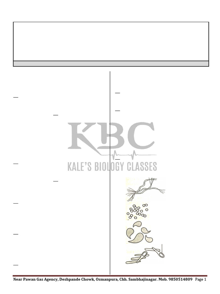 12th Test Series (Biological Classification) (Answer Key) | PDF ...