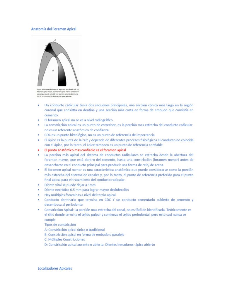Anatomía Del Foramen Apical | PDF | Esterilización (Microbiología)