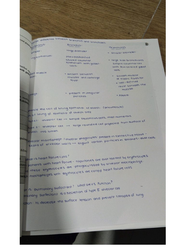 Histology Practical 13 | PDF