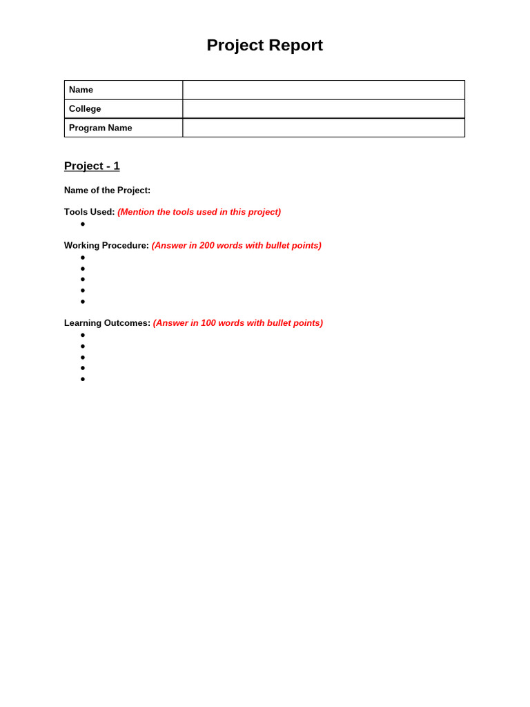 Comprehensive Project Report Overview | PDF