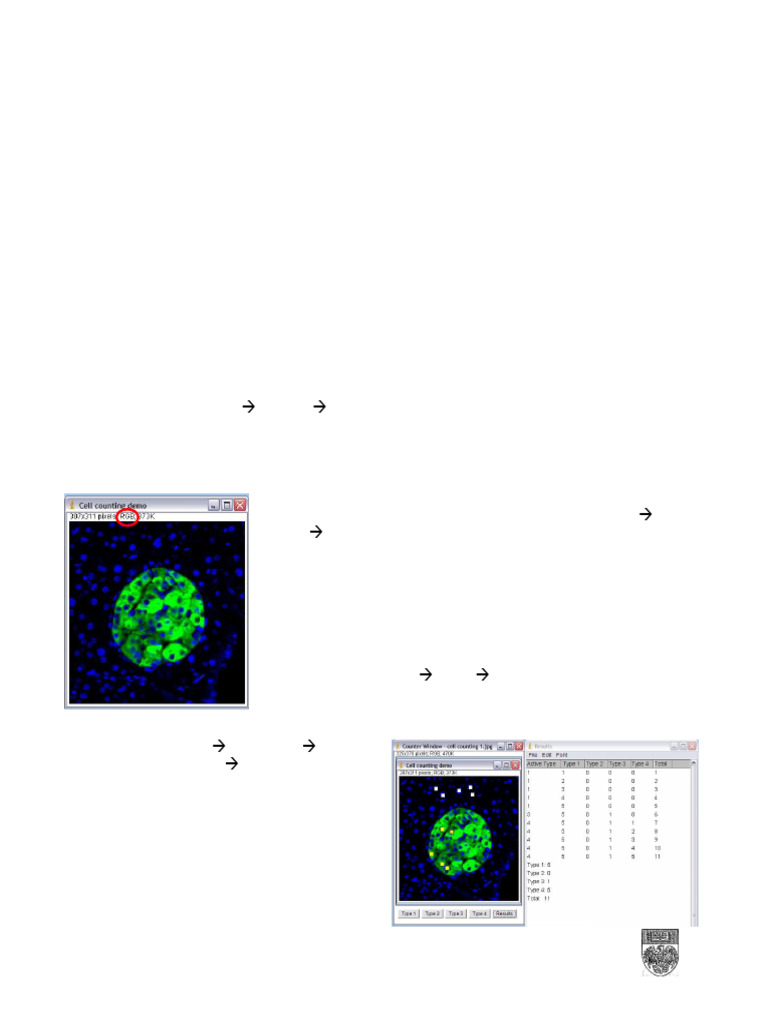 Counting Cells with ImageJ Methods | PDF | Microsoft Excel | Image ...