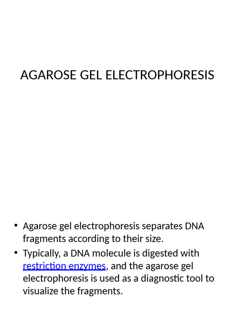 Agarose Gel Electrophoresis Explained | PDF