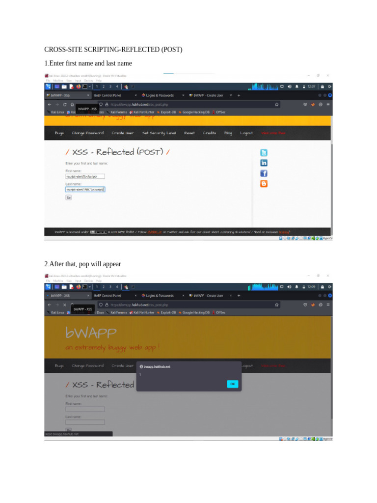 Cross-Site Scripting-Reflected (Get) Assesement 2 | PDF