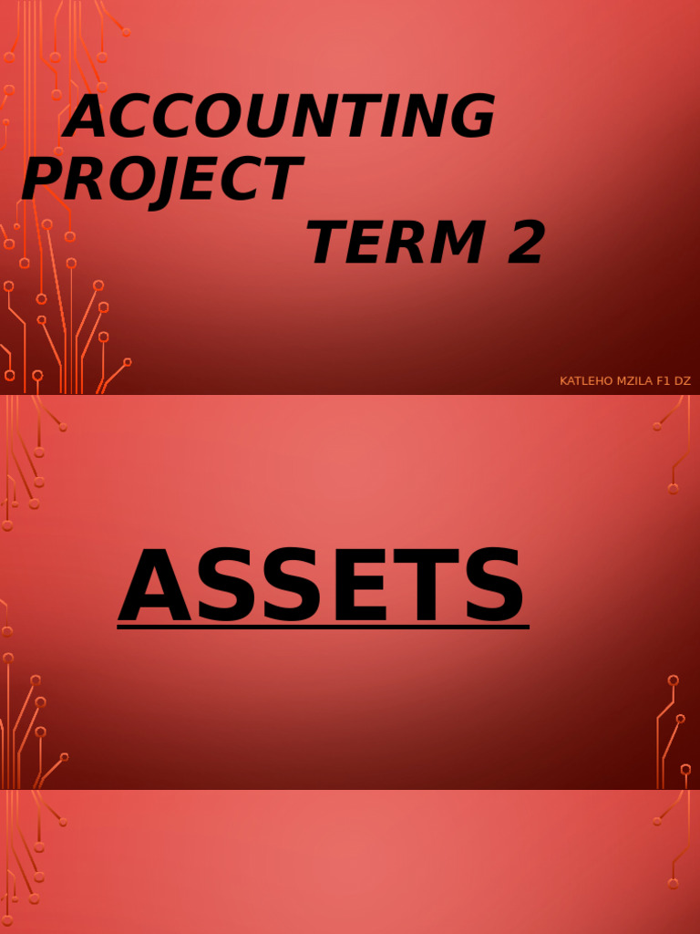 Accounting Project | PDF