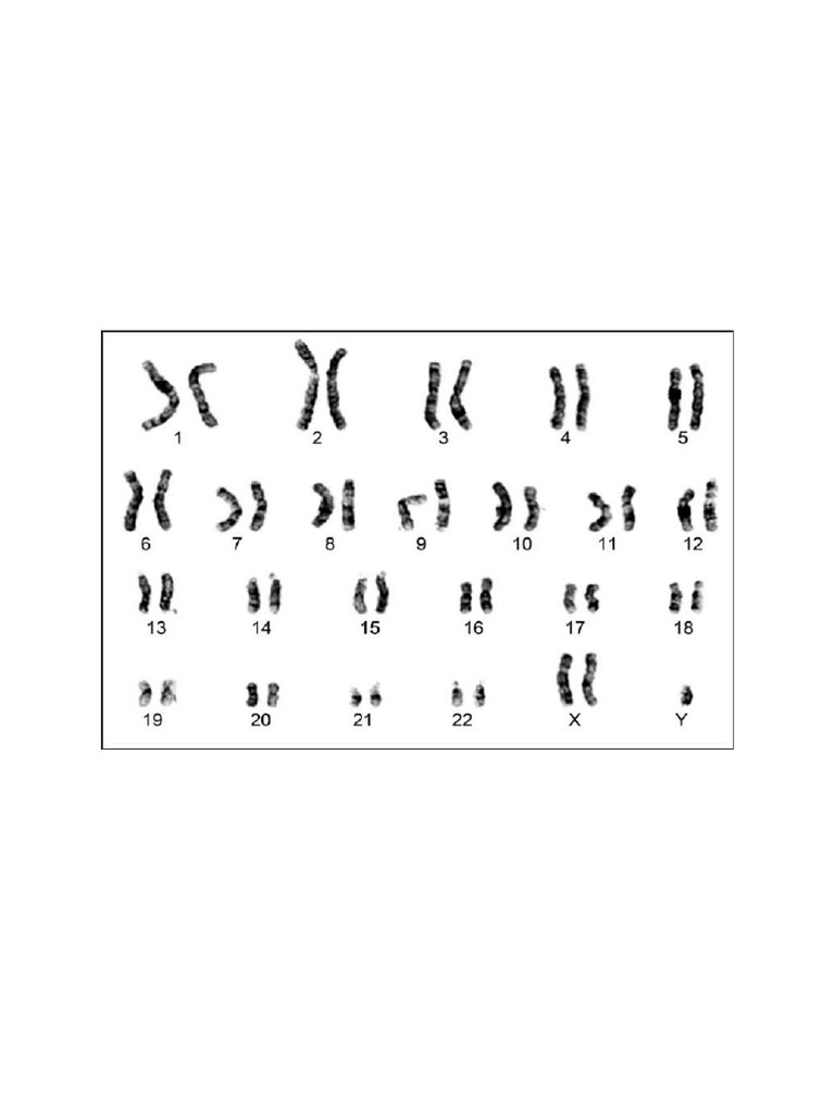 Genetics Charts Soft | PDF