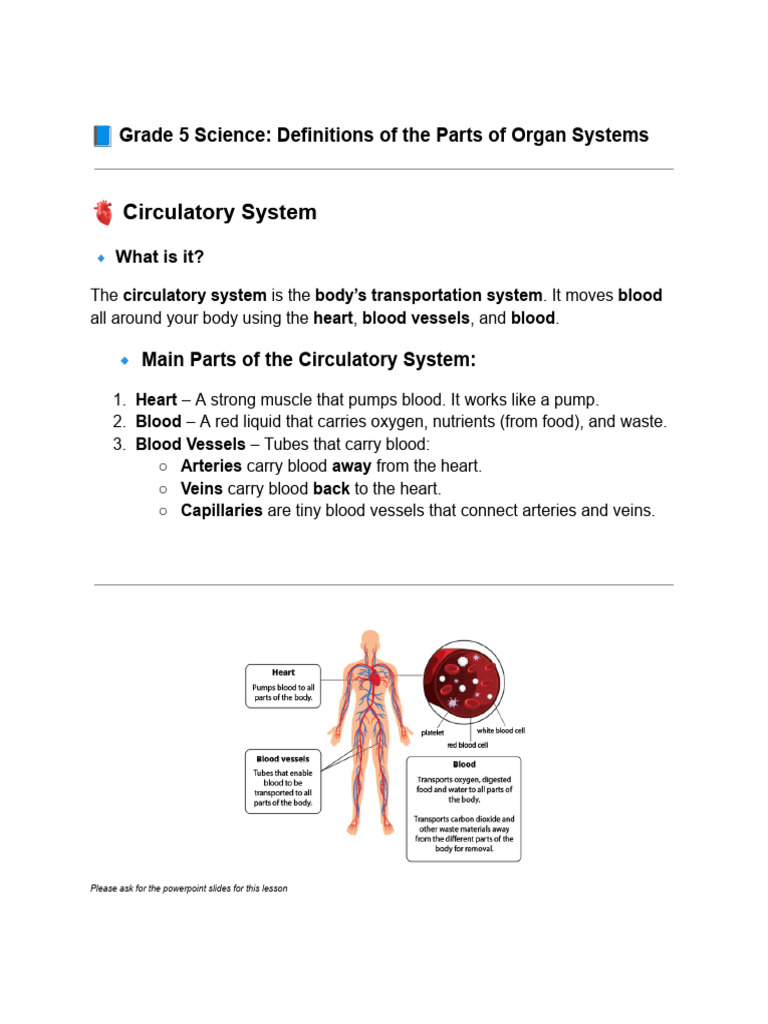 ? Grade 5 Science - Definitions of The Parts of Organ Systems | PDF ...
