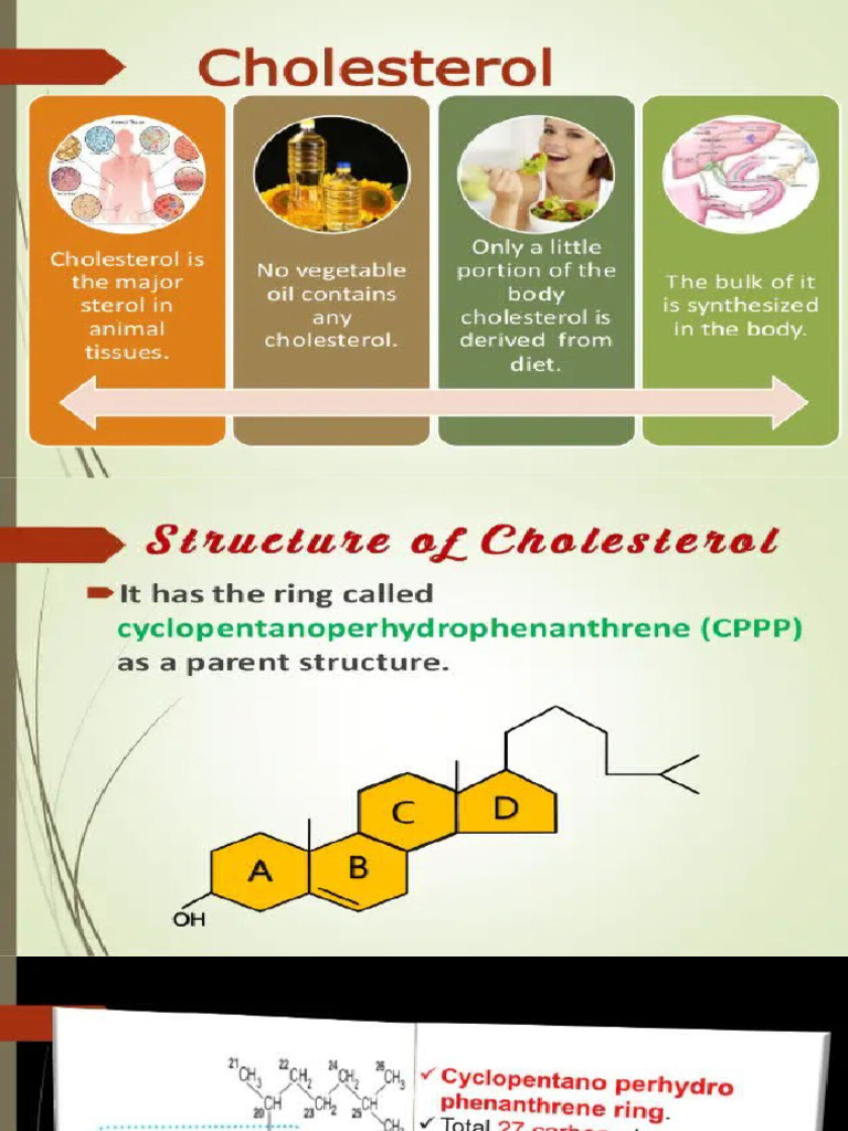 Cholesterol Metabolism Pdf