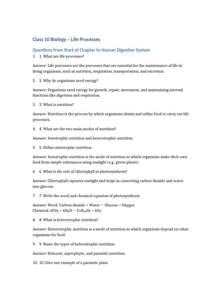 Life Processes With Stomata | PDF | Digestion | Stoma