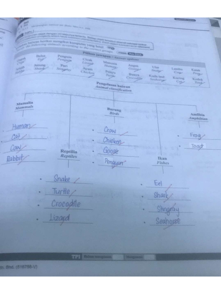 Workbook Chapter 11 | PDF