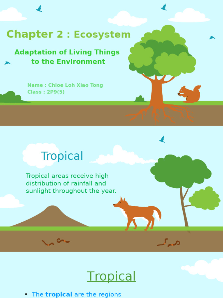 Adaptation of Living Things To The Environment | PDF | Tropics | Earth ...