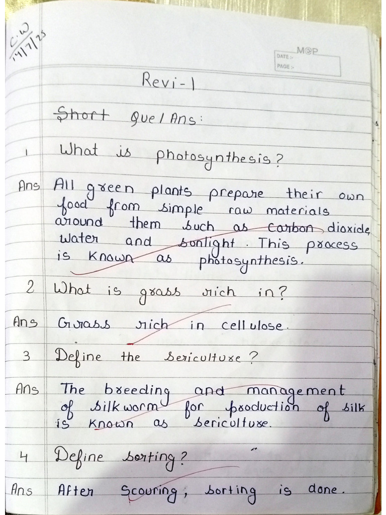 Science Class7 Revision For 1st Term Exam | PDF