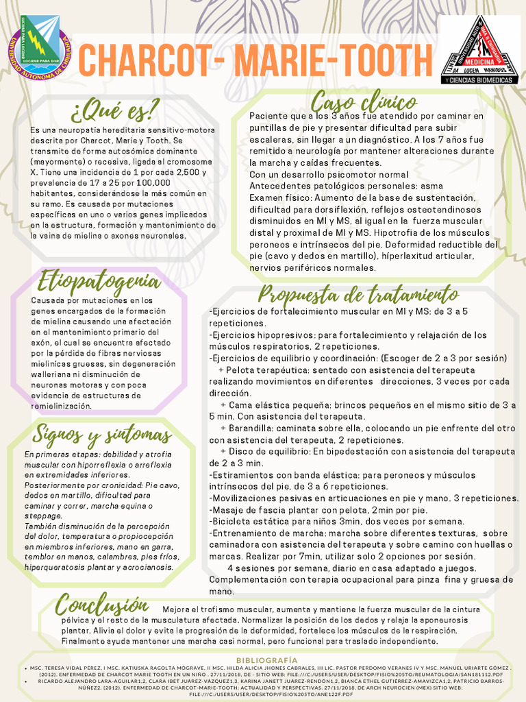 Charcot Mariet Tooth | PDF | Mielina | Pie