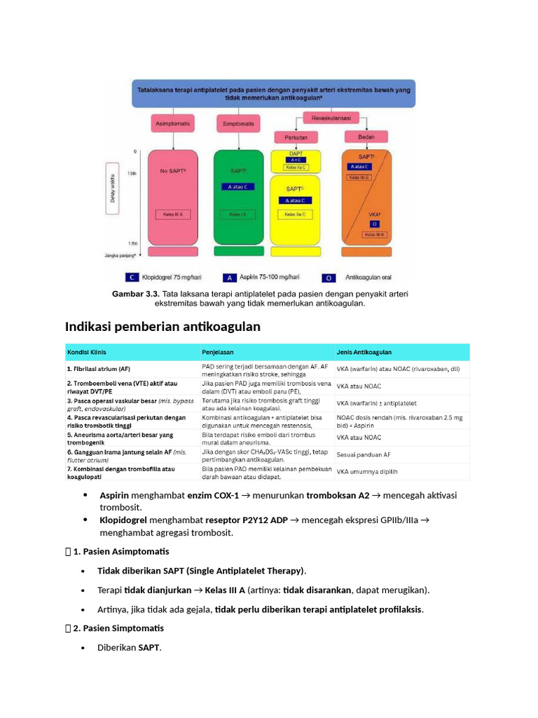 Tatalaksana DVT Dan PAD | PDF