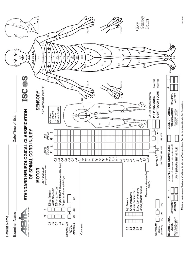 Escala de Asia - Ingles | PDF