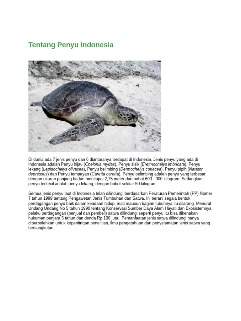 Jenis dan Konservasi Penyu di Indonesia | PDF
